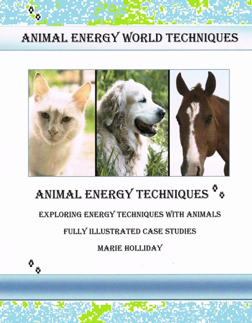 GoE Energy Store - Books, Distance Learning and Audio Products on EFT ...